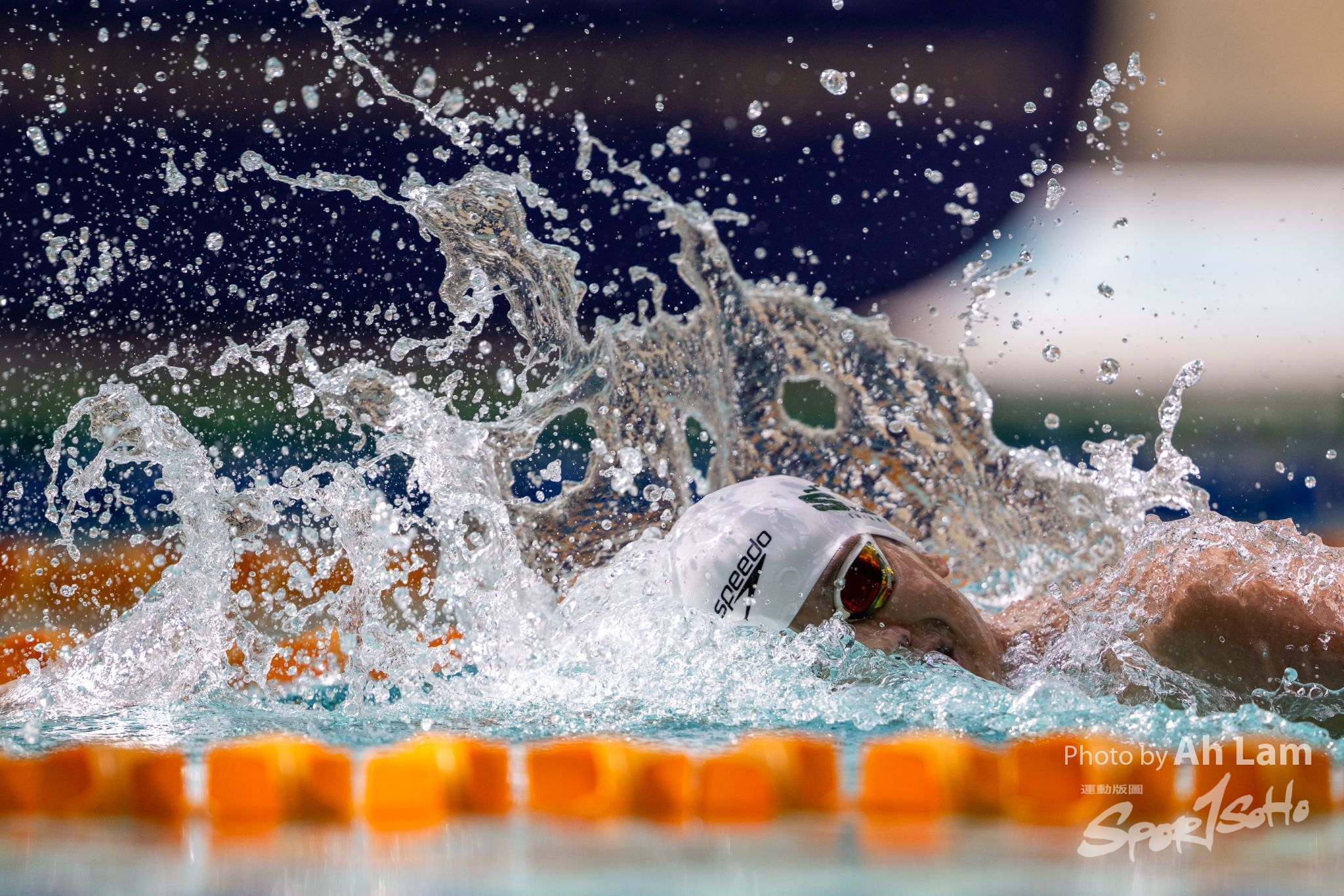 Inter-School Swimming Competition 2025-2026 (D1) | Sportsoho 運動版圖